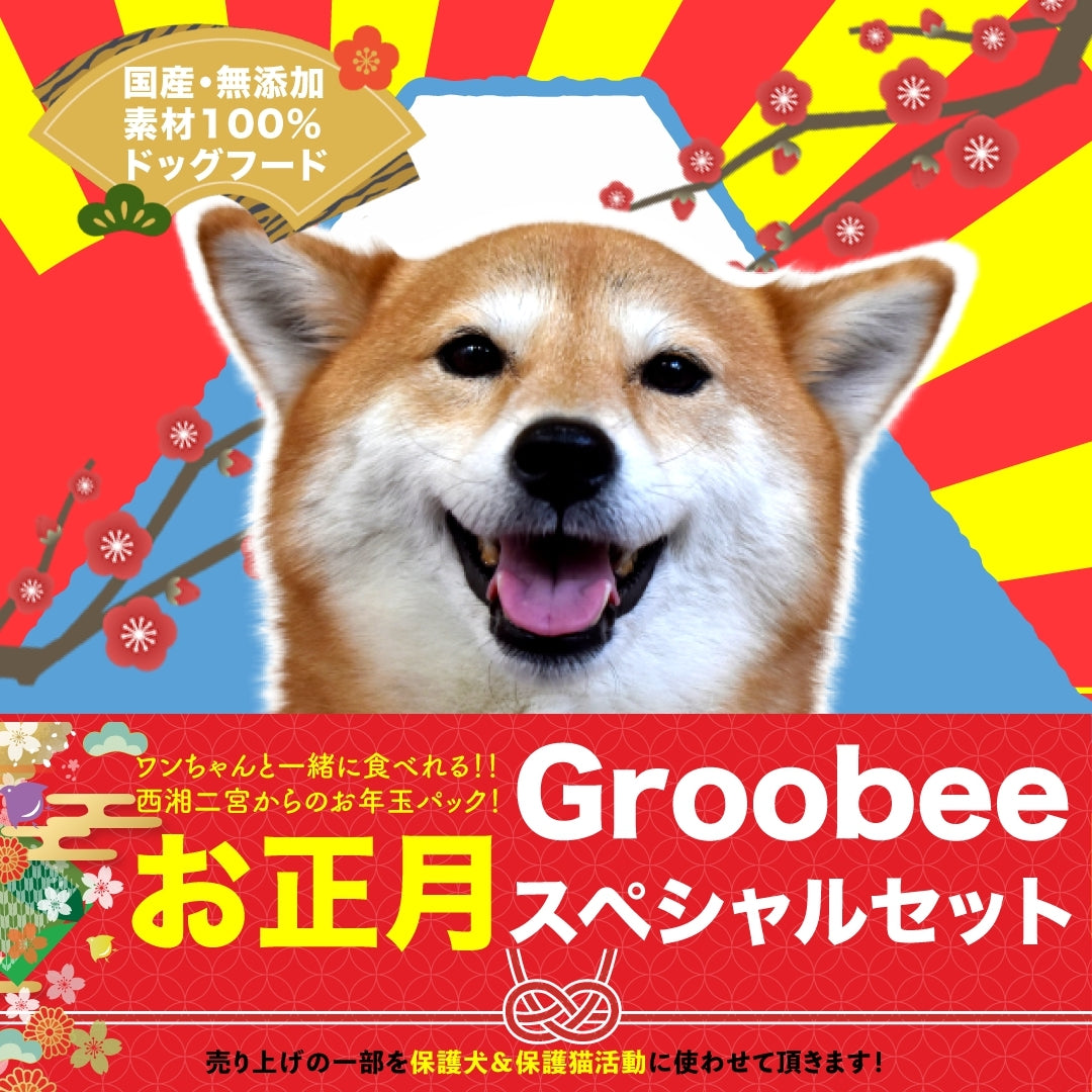 やさしいドッグフード Groobee｜期間限定商品 – groobeefood